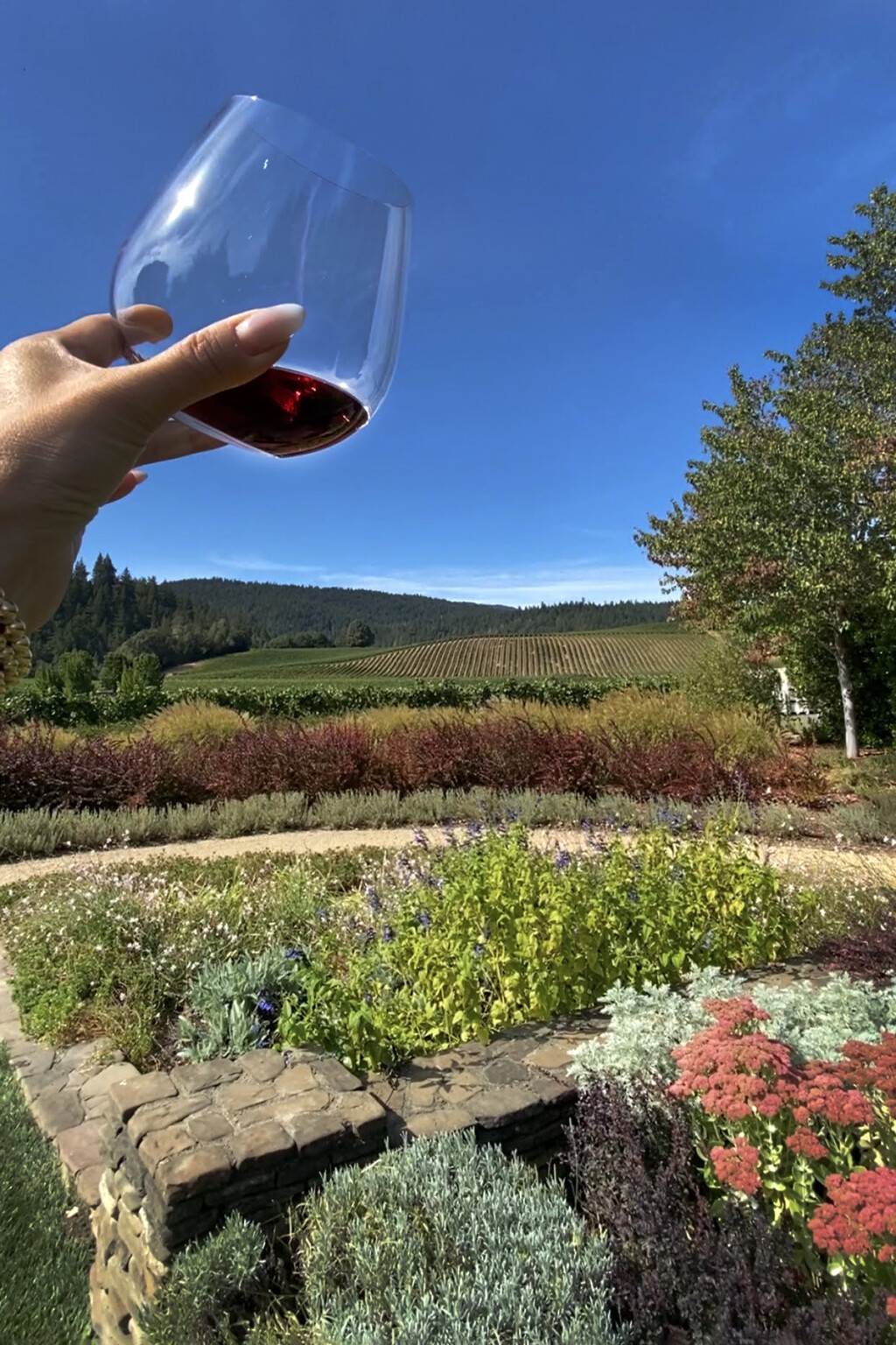Anderson Valley Wineries, a Hidden Gem in Northern California - The ...