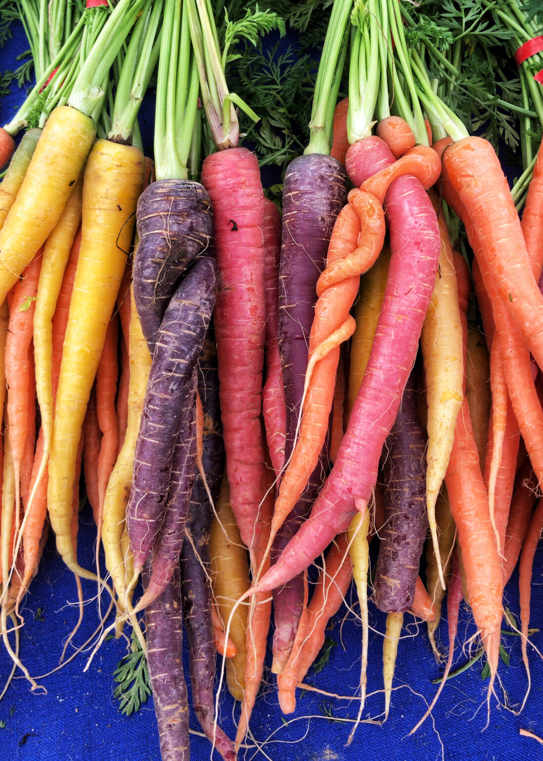 Spicy Korean Carrot Salad, Better than the One Trending on TikTok ...