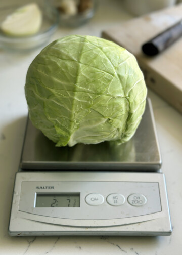 Chicken and Cabbage Salad, How to Make it Super Healthy - The Delicious ...